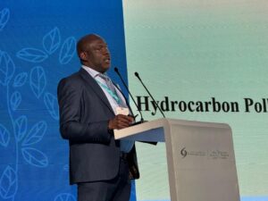 HYPREP – Hydrocarbon Pollution Remediation Project.